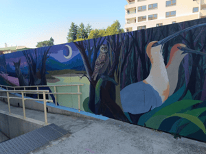 Local Comercial en Valdivia - VENTA DERECHO A LLAVES CAFETERIA EN ISLA ...