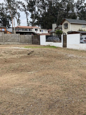 Propiedad TERRENO CON CIERRE PERIMETRAL Y URBANIZADO - Terreno en Algarrobo
