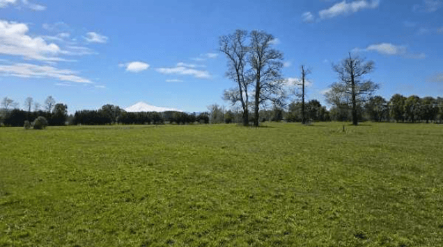 Parcela de Agrado en Panguipulli - ¡Precio Oportunidad! Parcelas en ...
