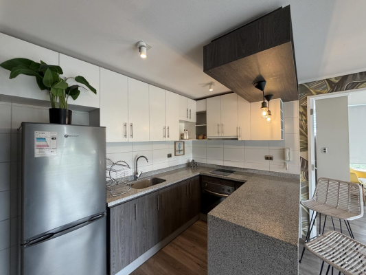 Departamento en Concepción - EN VENTA EXCLUSIVO DEPARTAMENTO A PASOS DE ...